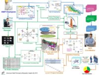 AWP Processes - Insight-AWP